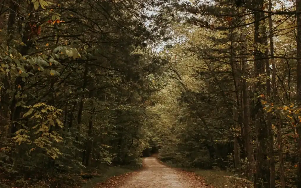 Upper Cumberland Hiking Guide - Upper Cumberland Lifestyle